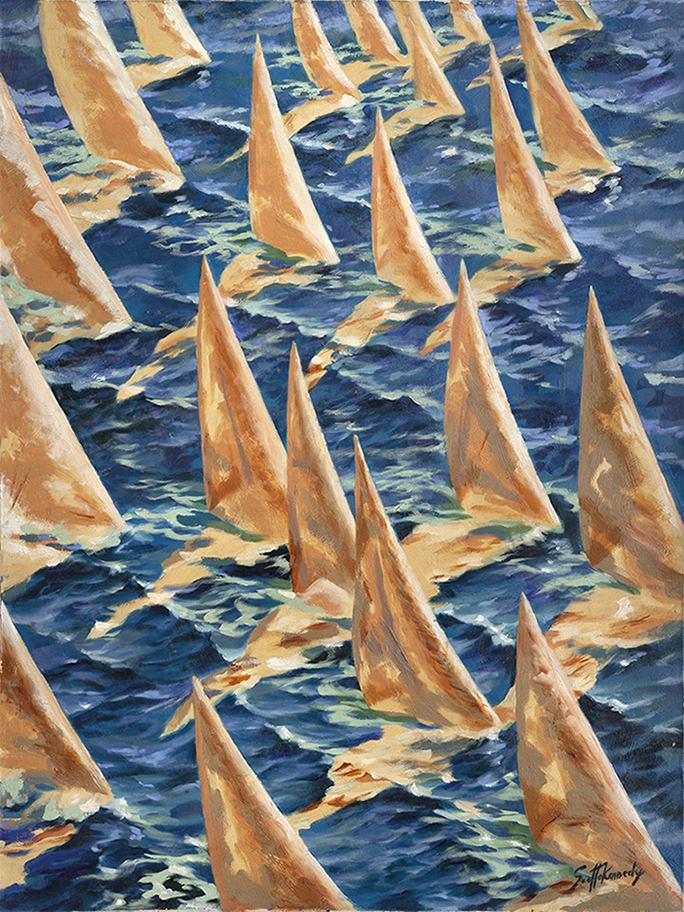 Birds to Baja | Art by Scott Kennedy